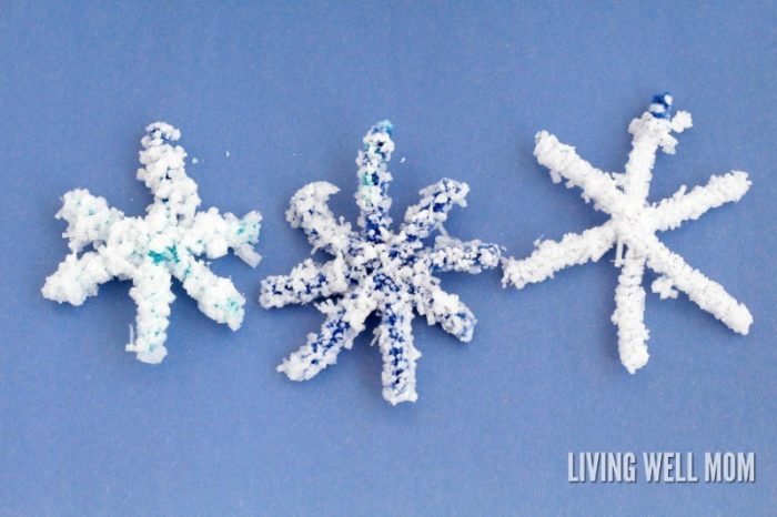 Top 12 Coolest Winter Science Experiments | STEM Education Guide