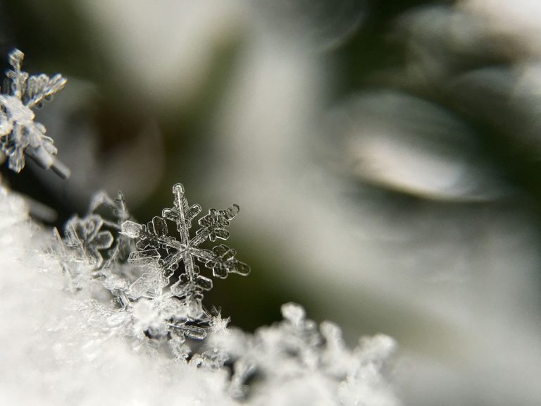 Snowflake Science: How to Collect & Observe Snowflakes Under a Microscope