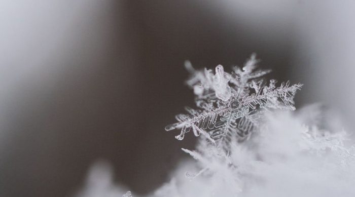 Snowflake Science: How to Collect & Observe Snowflakes Under a Microscope