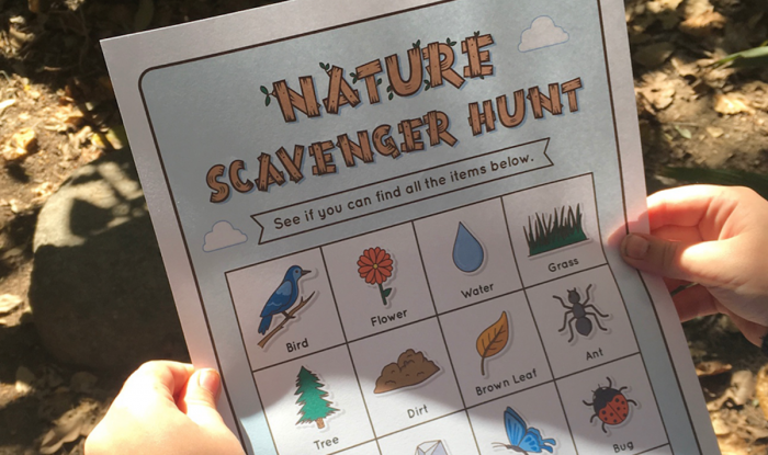 11 Fun & Educational STEM Activities at Home | STEM Education Guide