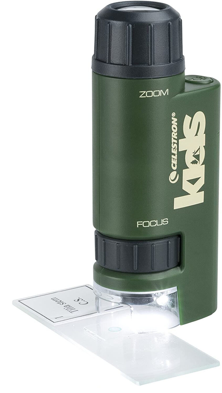 Microscope Activities for Kids - Fun Experiments Kids Will Love - STEM ...