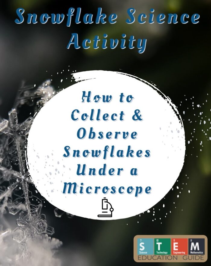 Microscope Activities for Kids - Fun Experiments Kids Will Love - STEM ...