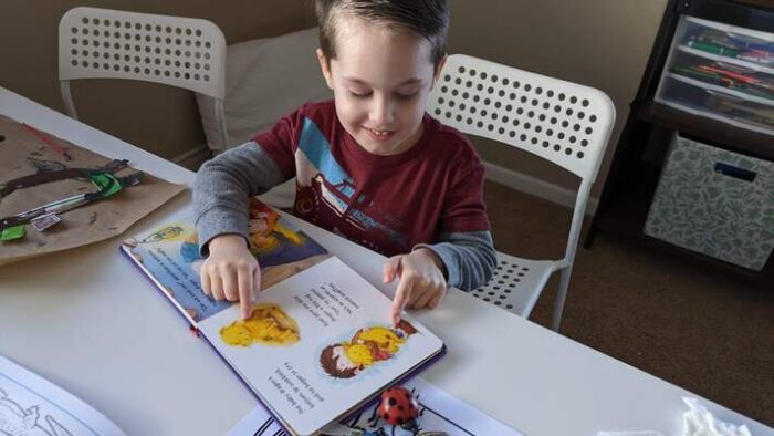The Preschool Box Review: Everything You Need to Know - STEM Education ...