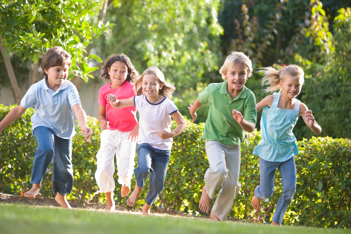 Nervous System Facts: Our Body's Control Center - STEM Education Guide